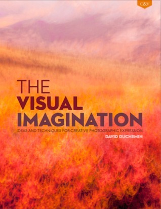 The Visual Imagination: Ideas and Techniques for Creative Photographic ...