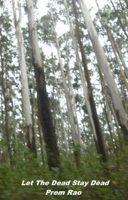 Let The Dead Stay Dead by Prem Rao | Goodreads