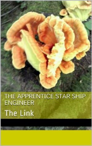 The Apprentice Starship Engineer: Book One The Link by Daniel Hanks ...