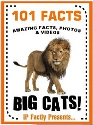 101 Facts... Big Cats! Big Cat Books for Kids - Lions, Tigers, Jaguars ...