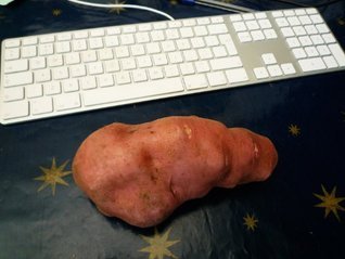 The Potato by Michael Laimo | Goodreads