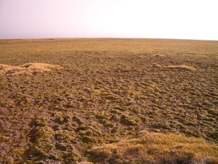 THE DISCOVERY OF LIFE ON MARS by Andrew D. Basiago | Goodreads