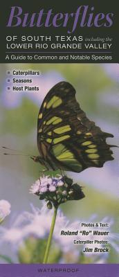 Butterflies of South Texas incl. the Lower Rio Grande Valley: A Guide ...