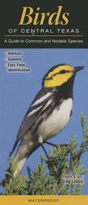 Birds of Central Texas: A Guide to Common & Notable Species by Greg ...