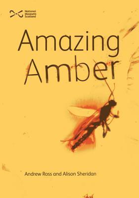 Amazing Amber by Andrew Ross | Goodreads