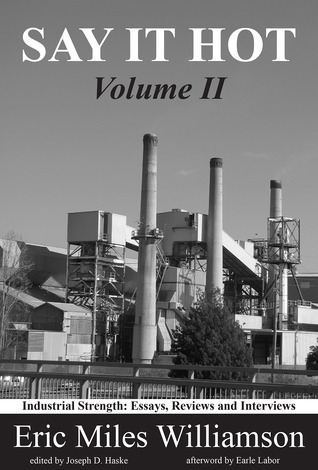 Say It Hot, Volume II:: Industrial Strength Essays on American Writers ...