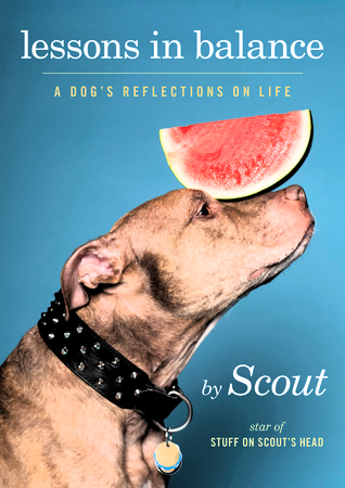 Lessons in Balance: A Dog's Reflections on Life by Scout star of Stuff ...