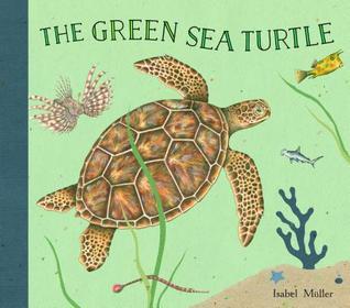 The Green Sea Turtle by Isabel Müller | Goodreads