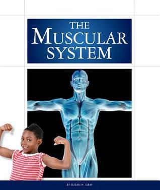 The Muscular System (Human Body) by Susan H. Gray | Goodreads