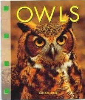 Owls by Susan Ring | Goodreads