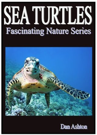 Sea Turtles – Kid's Book About Sea Turtles - Learn About Sea Turtles ...