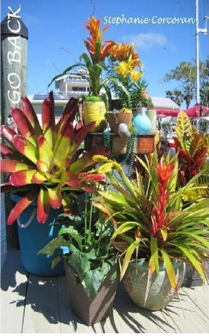 Go Back by Stephanie Corcoran | Goodreads