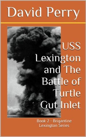 USS Lexington and The Battle of Turtle Gut Inlet by David C. Perry ...