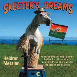 Skeeter's Dreams: An Enchanting and Multi-Talented Arabian Trick Horse ...