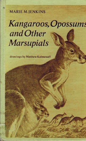 Kangaroos, Opossums, and Other Marsupials by Marie M. Jenkins | Goodreads