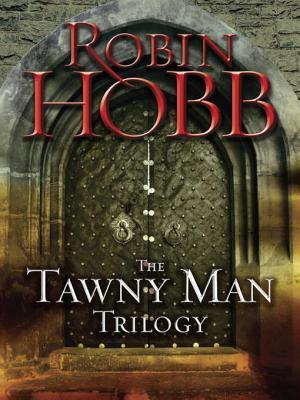 The Tawny Man Trilogy 3-Book Bundle: Fool's Errand, Golden Fool, Fool's ...