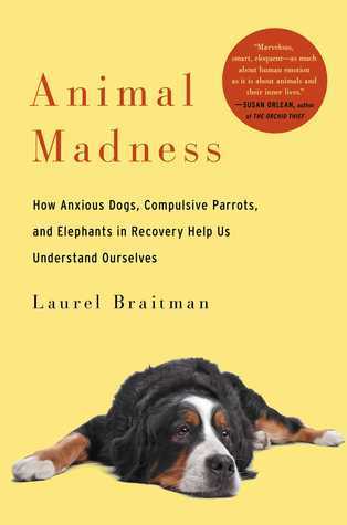 Animal Madness: How Anxious Dogs, Compulsive Parrots, and Elephants in ...