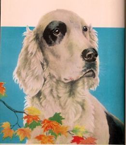Raff: The Story of an English Setter by F.E. Rechnitzer | Goodreads