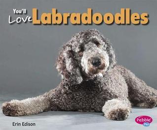 You'll Love Labradoodles (Favorite Designer Dogs) by Erin Edison ...