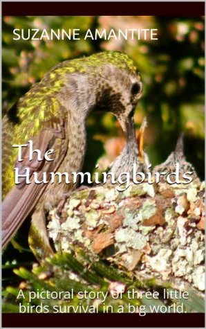 The Hummingbirds: A pictoral story of three little birds survival in a ...
