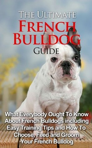 The Ultimate Guide To French Bulldog: What Everybody Ought To Know ...