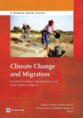 Climate Change and Migration: Evidence from the Middle East and North ...