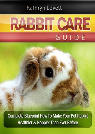 The Rabbit Care Guide | Secrets You Should Know Before Adopting A ...