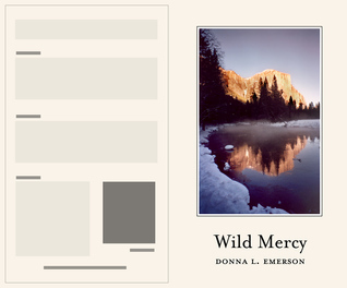 Wild Mercy by Donna L. Emerson | Goodreads