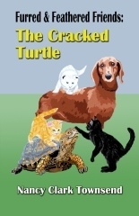 The Cracked Turtle by Nancy Clark Townsend | Goodreads