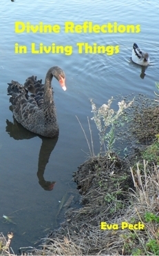 Divine Reflections in Living Things by Eva Peck | Goodreads