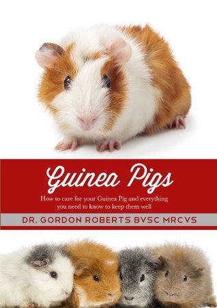 Guinea Pigs: How to care for your Guinea Pig and everything you need to ...