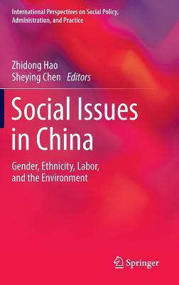 Social Issues in China: Gender, Ethnicity, Labor, and the Environment ...