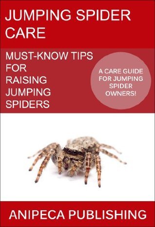 Jumping Spider Care: Must-Know Tips For Raising Jumping Spiders by ...