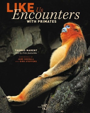 Like Us: Encounters with Primates by Thomas Marent | Goodreads