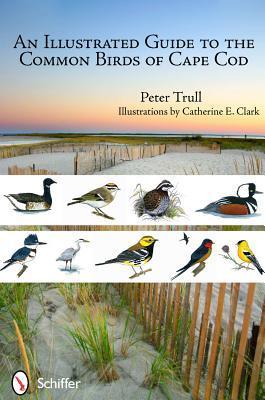 An Illustrated Guide to the Common Birds of Cape Cod by Peter Trull ...