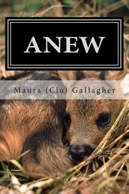 Anew: The Scattered Seeds Tales from the 'Great Melting Pot' Collection ...