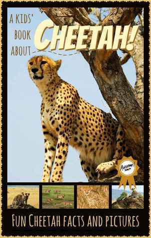 All About Cheetahs: Fascinating Cheetah Facts for Kids with Stunning ...