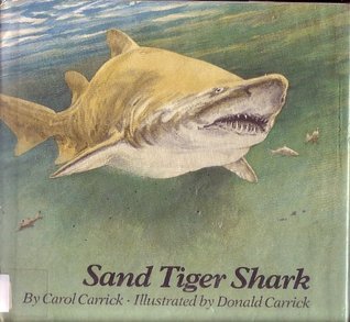 The Sand Tiger Shark by Carol Carrick | Goodreads