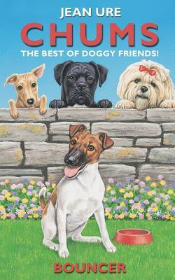 Bouncer (Chums) by Jean Ure | Goodreads