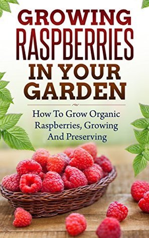 Growing Raspberries In Your Garden - How To Grow Organic Raspberries ...
