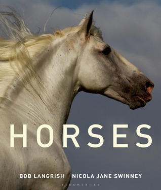 Horses by Nicola Jane Swinney | Goodreads