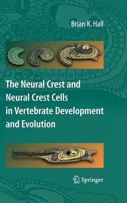 The Neural Crest and Neural Crest Cells in Vertebrate Development and ...