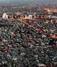 Till Damaskus by Ghayath Almadhoun | Goodreads