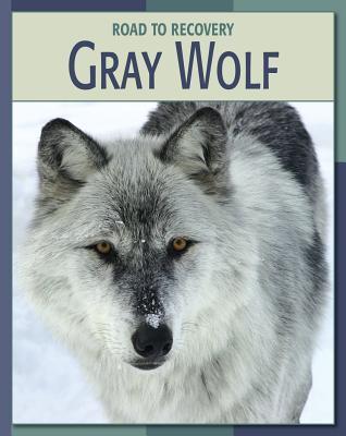 Gray Wolf Gray Wolf (Road to Recovery by Barbara A. Somervill | Goodreads