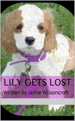 Lily Gets Lost by J.S. Wilsoncroft | Goodreads