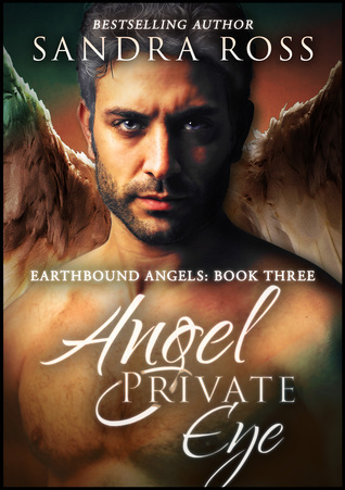 Angel Private Eye (Complete): Earthbound Angels 3 by Sandra Ross ...