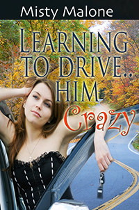 Learning to Drive Him Crazy by Misty Malone | Goodreads