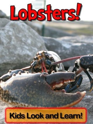 Lobsters! Learn About Lobsters and Enjoy Colorful Pictures - Look and ...