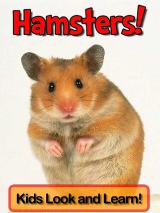 Hamsters! Learn About Hamsters and Enjoy Colorful Pictures - Look and ...