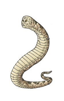 La maldición de Yig by H.P. Lovecraft | Goodreads